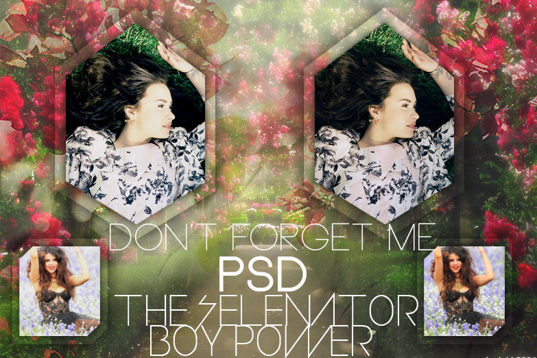 Dont Forget Me Psd by TheSelenatorBoyPower on DeviantArt
