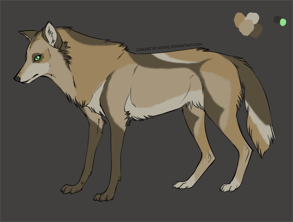 Gwyn by Kikkatar on DeviantArt