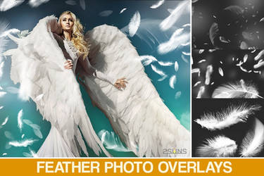White Feather photo overlays png by 2SUNS1 on DeviantArt