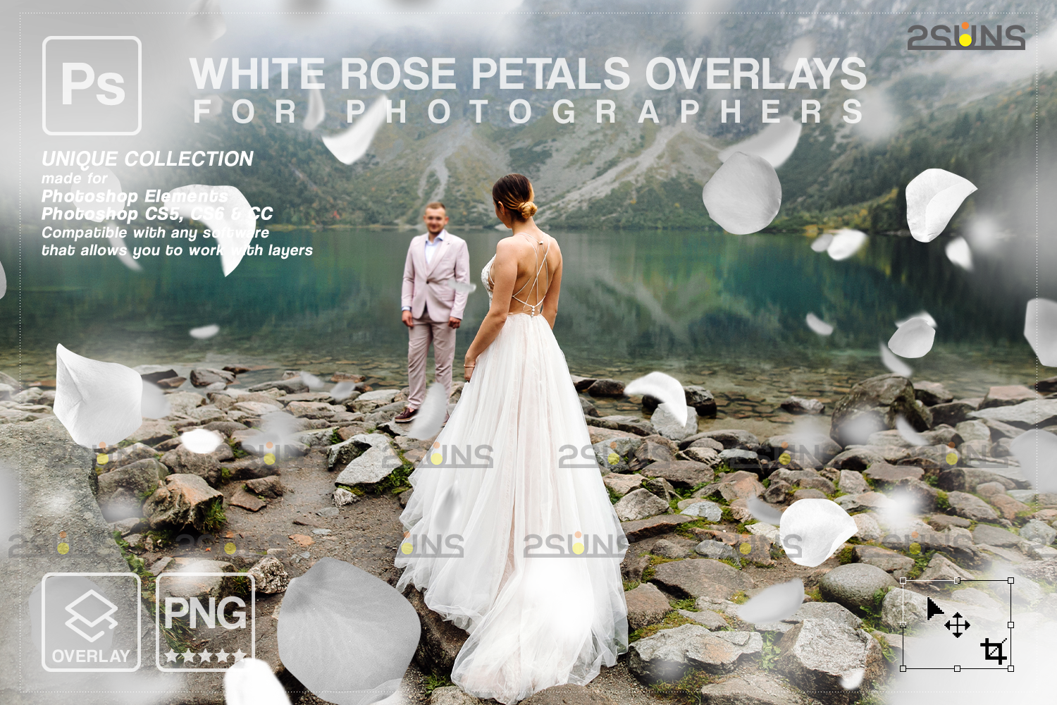 Flower overlays white Rose Wedding Photoshop by 2SUNS1 on DeviantArt