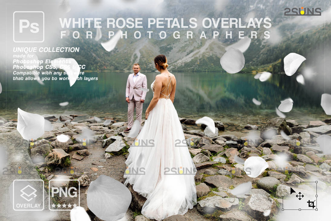 Flower overlays white Rose Wedding Photoshop by 2SUNS1 on DeviantArt