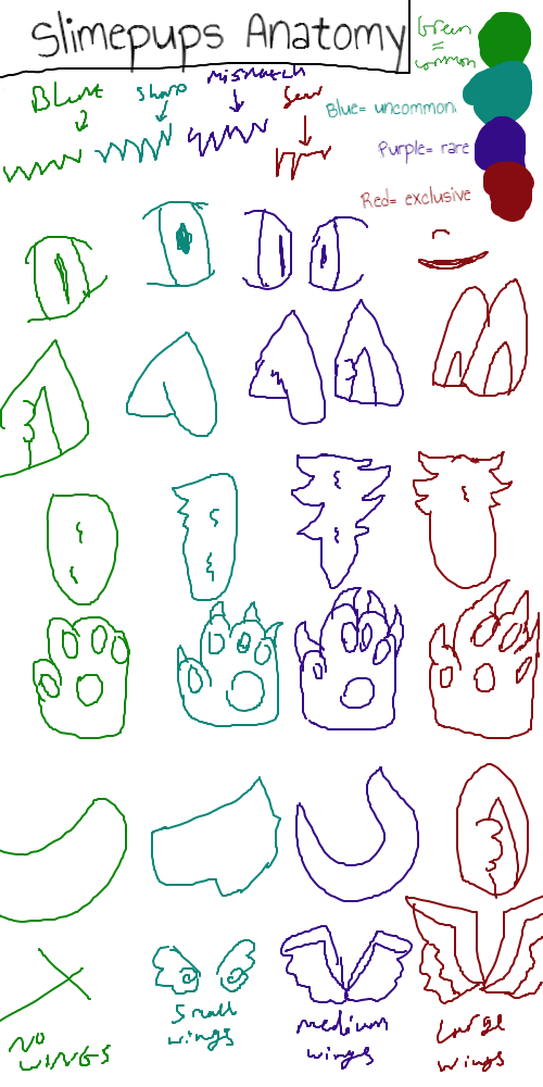 Slimepups Anatomy 1# by Pugzdraw123 on DeviantArt