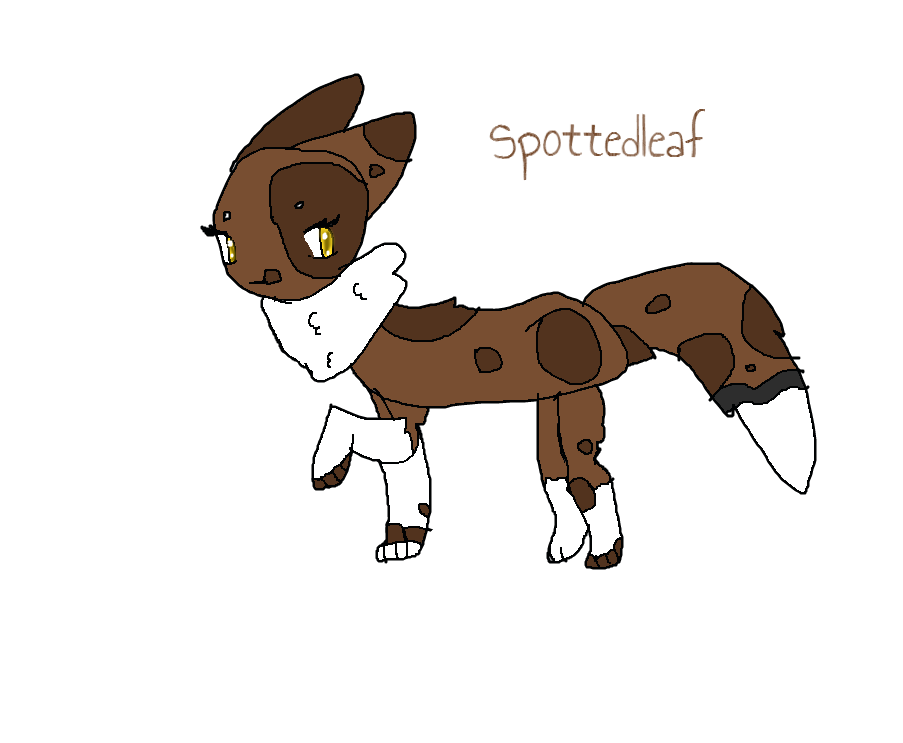 Spottedleaf ref by Pugzdraw123 on DeviantArt