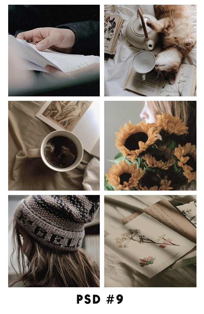 ?[PSD] PSD Coloring #9 / / / warm / 20181105 by Nagisukii on DeviantArt