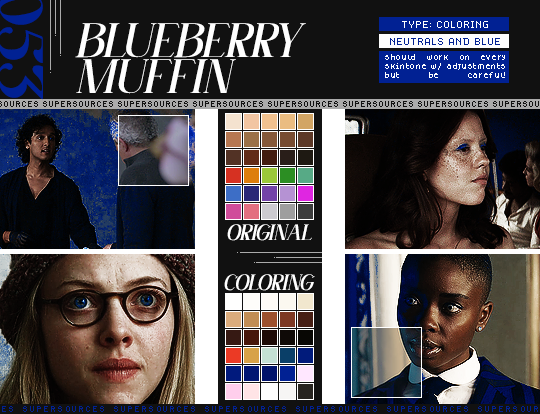 BLUEBERRY MUFFIN (053) by supersources on DeviantArt
