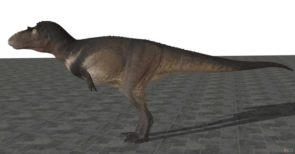 The Isle Albertosaurus by Templar-Dragonknight on DeviantArt
