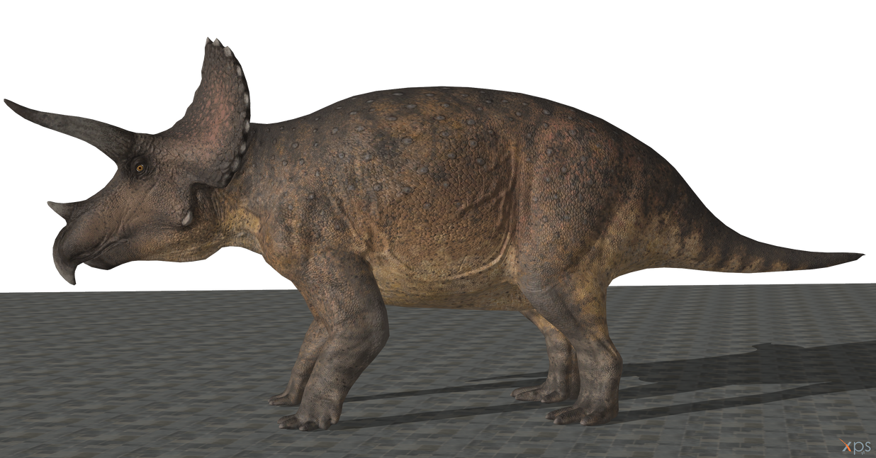 The Isle Triceratops by Templar-Dragonknight on DeviantArt