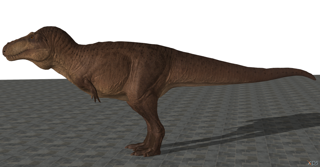 Adult T. rex Pose (XPS) by SonofThunderCatholic on DeviantArt