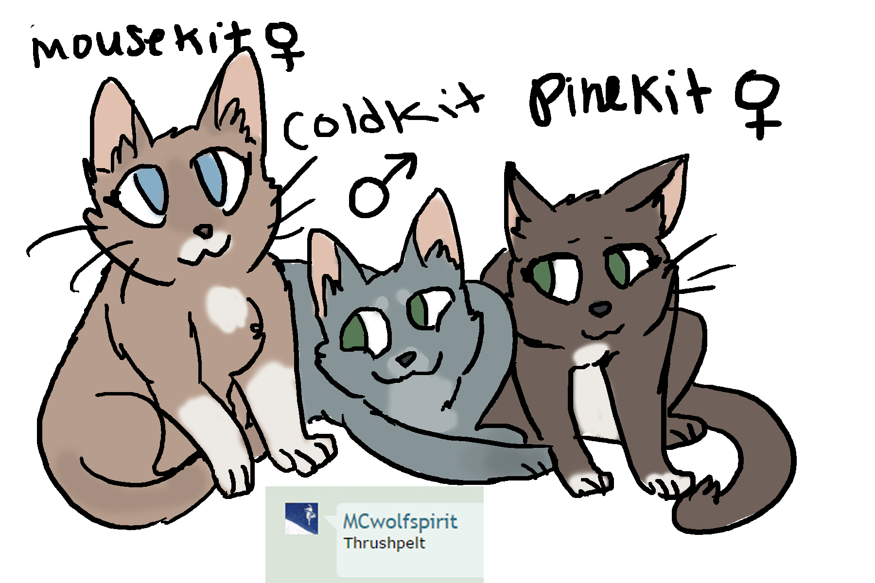 Bluestar And Thrushpelt