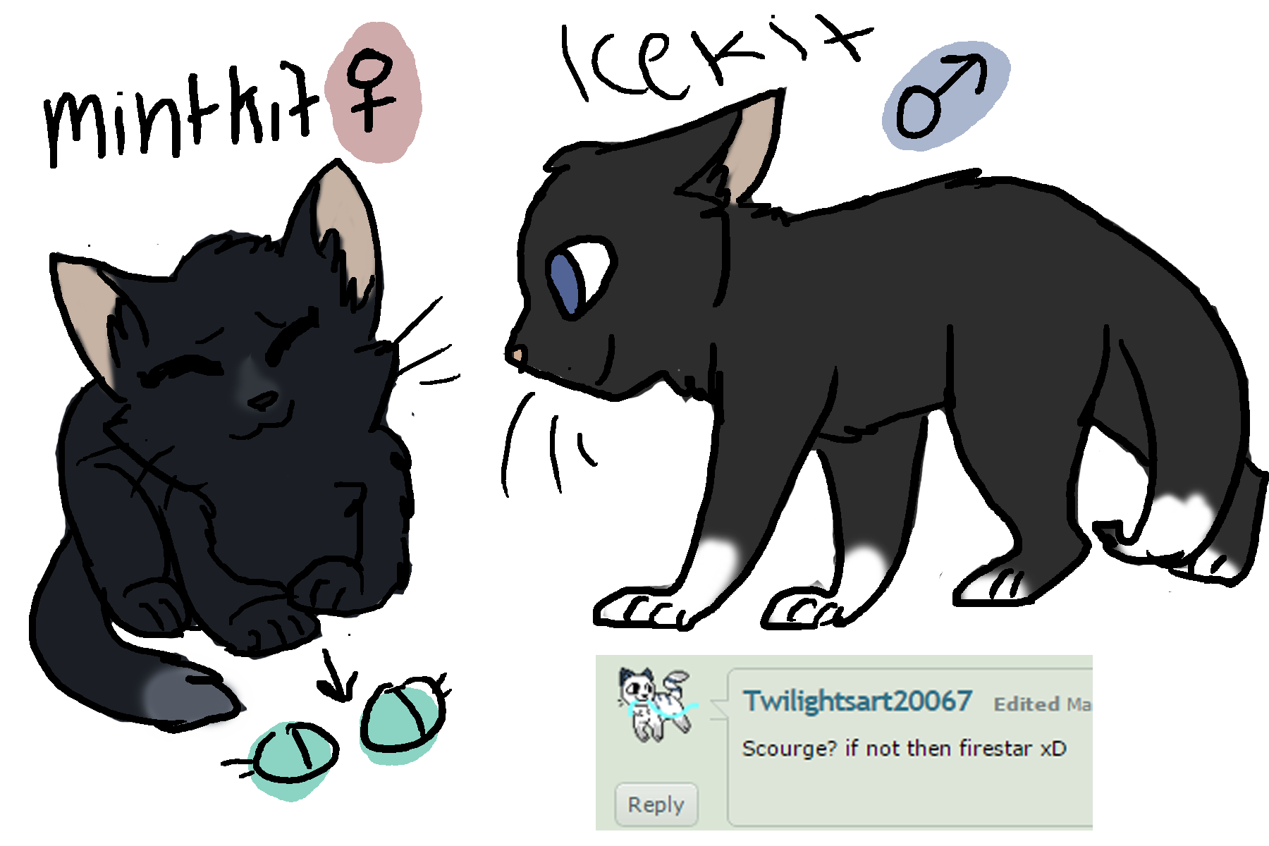 Warrior Cats Scourge S Kits