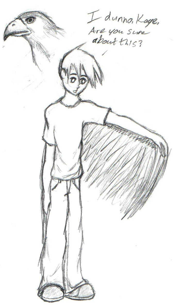 Josh: Anthro Hawk - Kage by Conscience-Soukutsu on DeviantArt