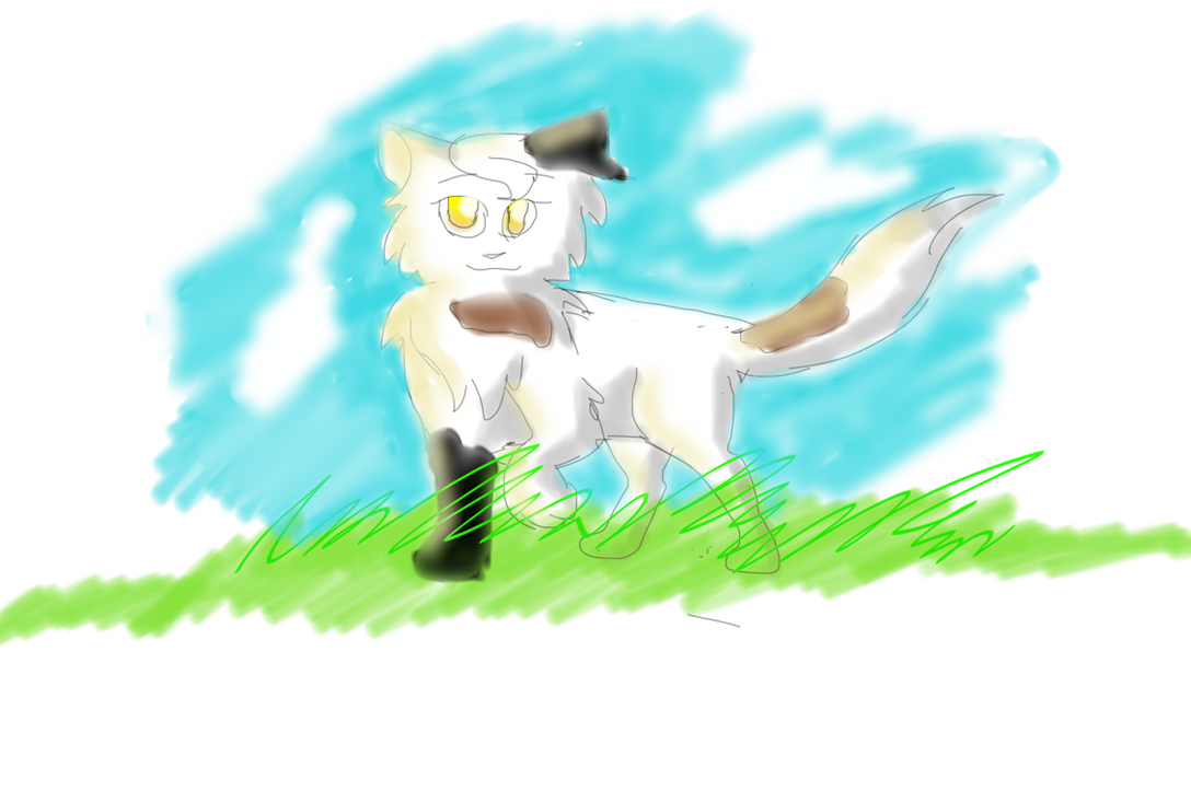 Spottedleaf by PillowRabbit on DeviantArt