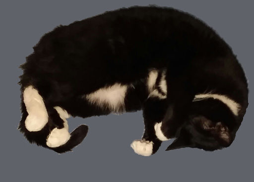 Curled up Cat by KBAFourthtime on DeviantArt
