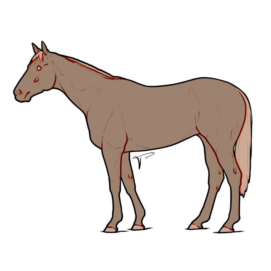 Simple Thoroughbred PTU base by twilightriders on DeviantArt
