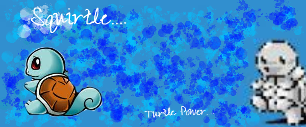 Squirtle Banner by Gigadile on DeviantArt