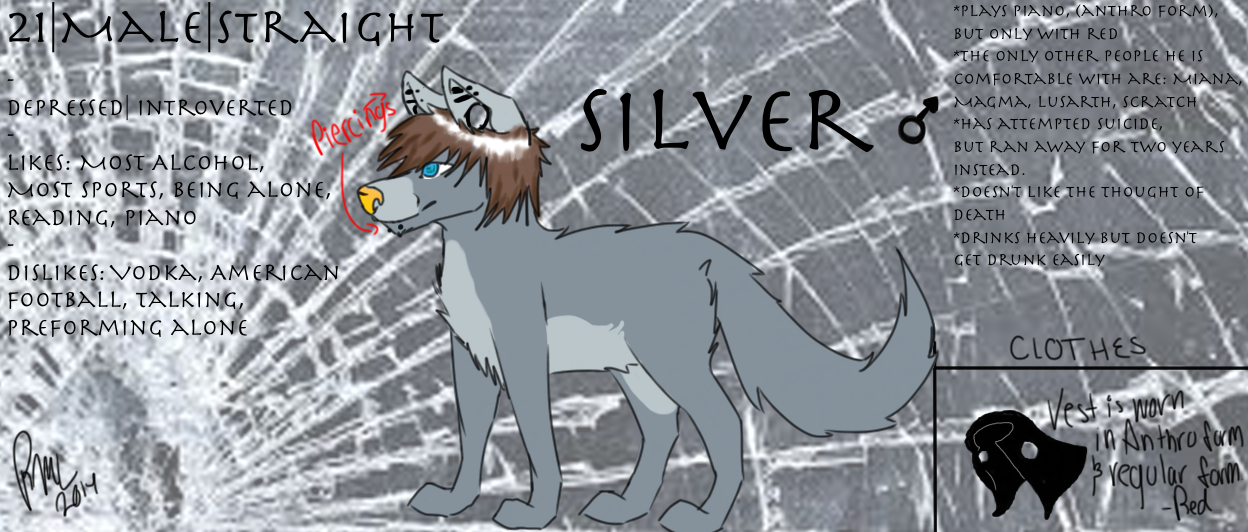 Silver- Ref Sheet by citizen-of-meow on DeviantArt