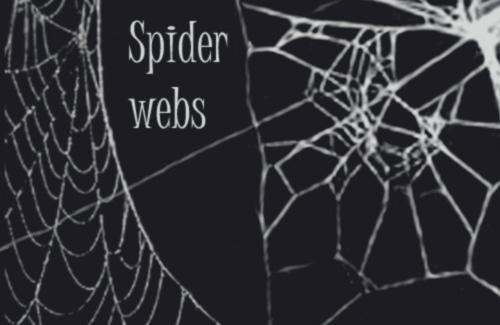 Spider web brushes by wyckedBrush on DeviantArt