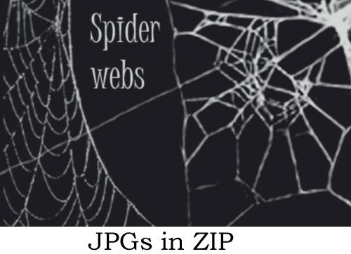 JPGs Spider Webs by wyckedBrush on DeviantArt