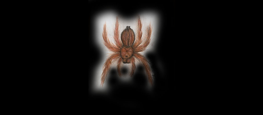 Fire Spider by breanna223 on DeviantArt