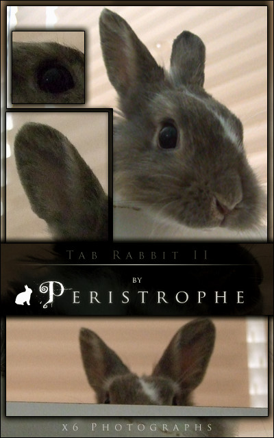 Tab Rabbit n.2 by Peristrophe on DeviantArt