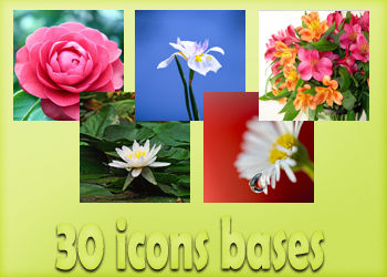 Flowers Bases by Monikanarnia on DeviantArt