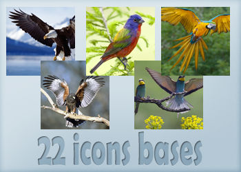 Birds Bases by Monikanarnia on DeviantArt