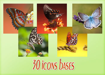 Butterflies - Bases by Monikanarnia on DeviantArt