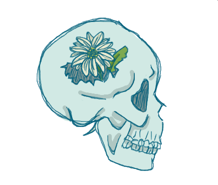 Daisy Skull. by MissMessyScribbles on DeviantArt
