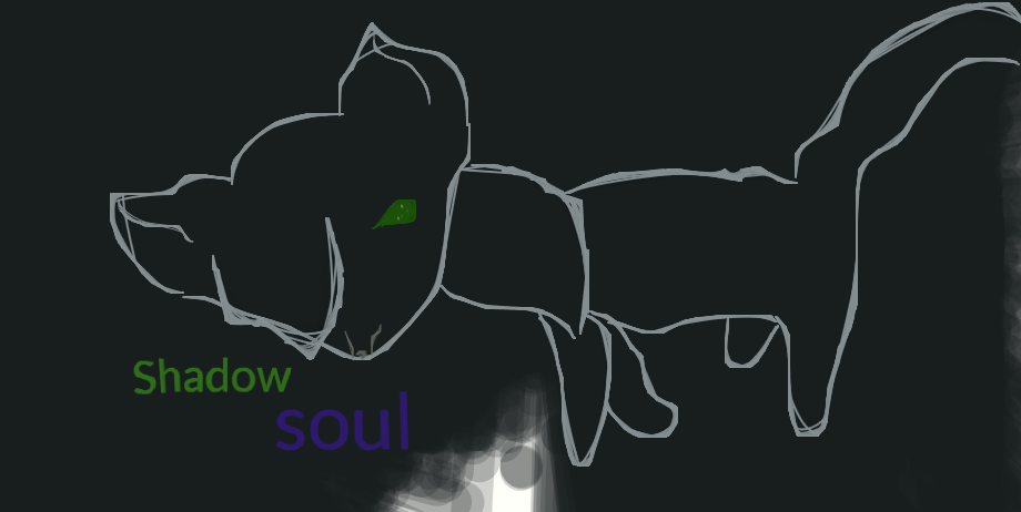 Shadowsoul by pondwaveperil7 on DeviantArt