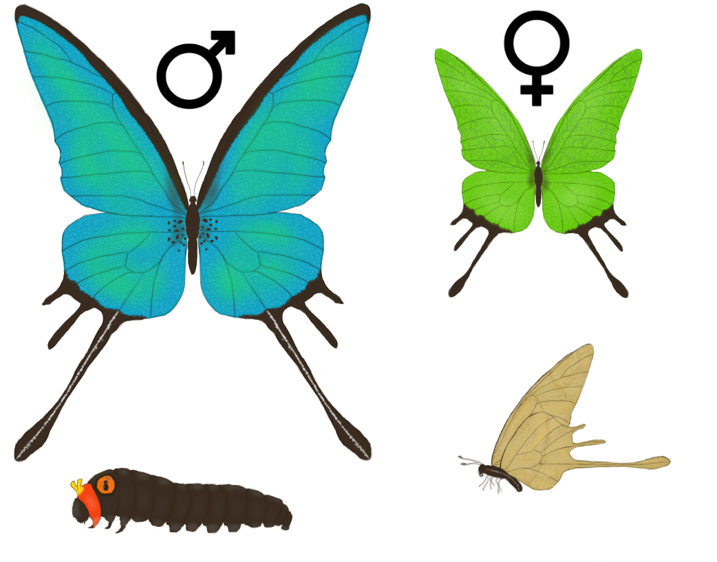 Altjira by FanboyPhilosopher on DeviantArt