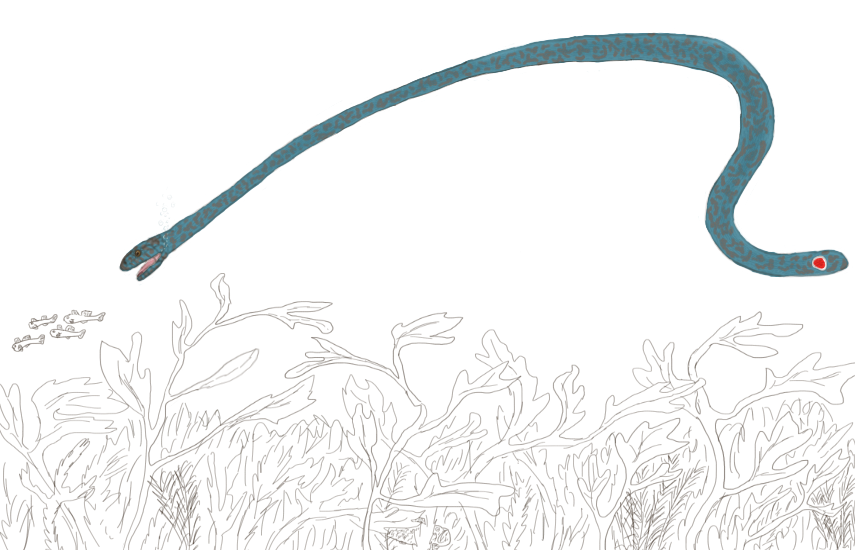 Atargatis by FanboyPhilosopher on DeviantArt