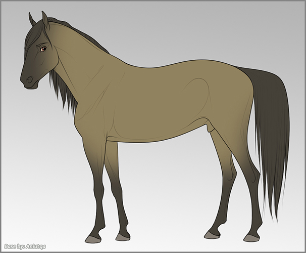 Horse Base template [points] by AniutqaART on DeviantArt