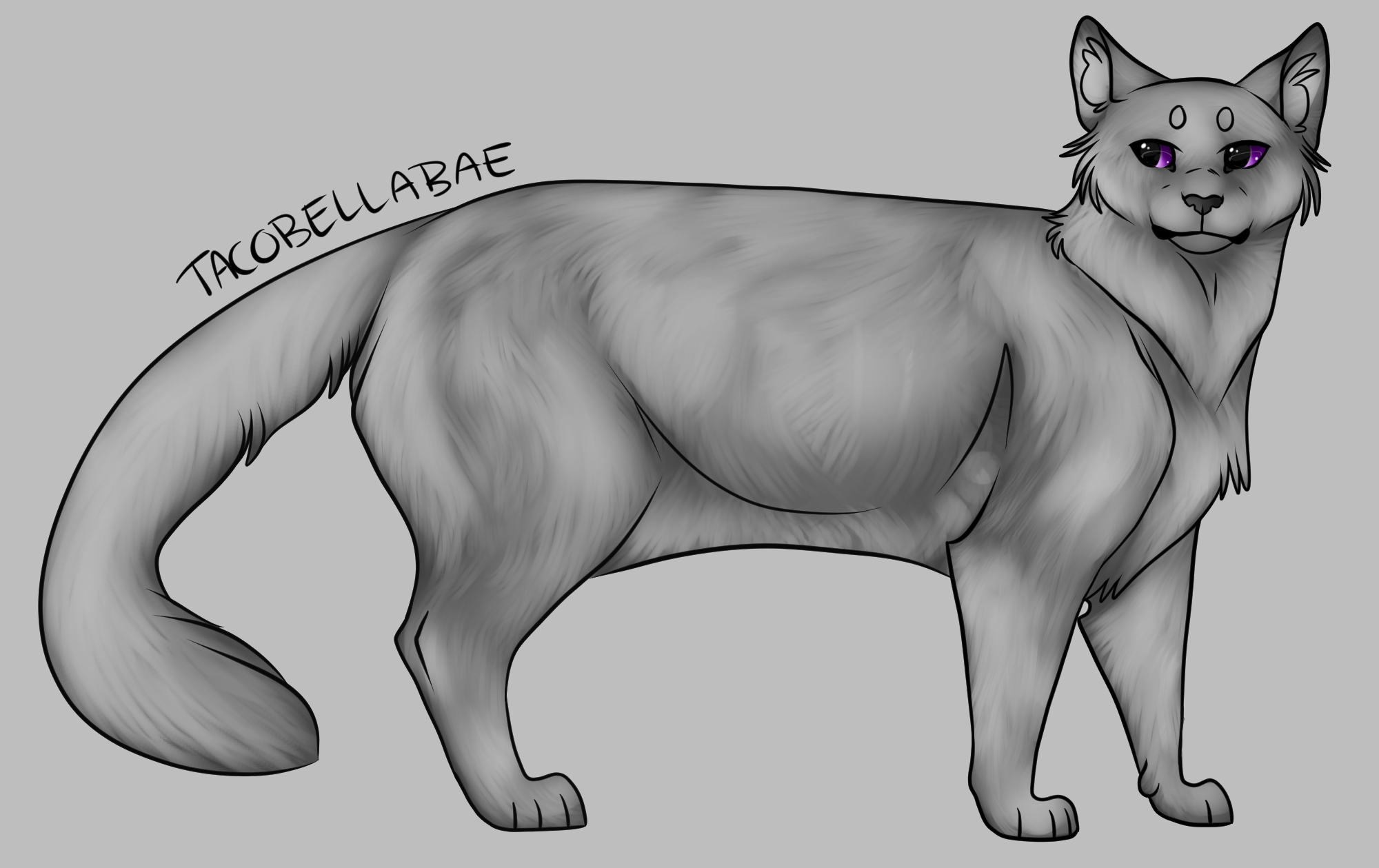 Free Cat Lineart - Shaded by TAC0BELLA on DeviantArt