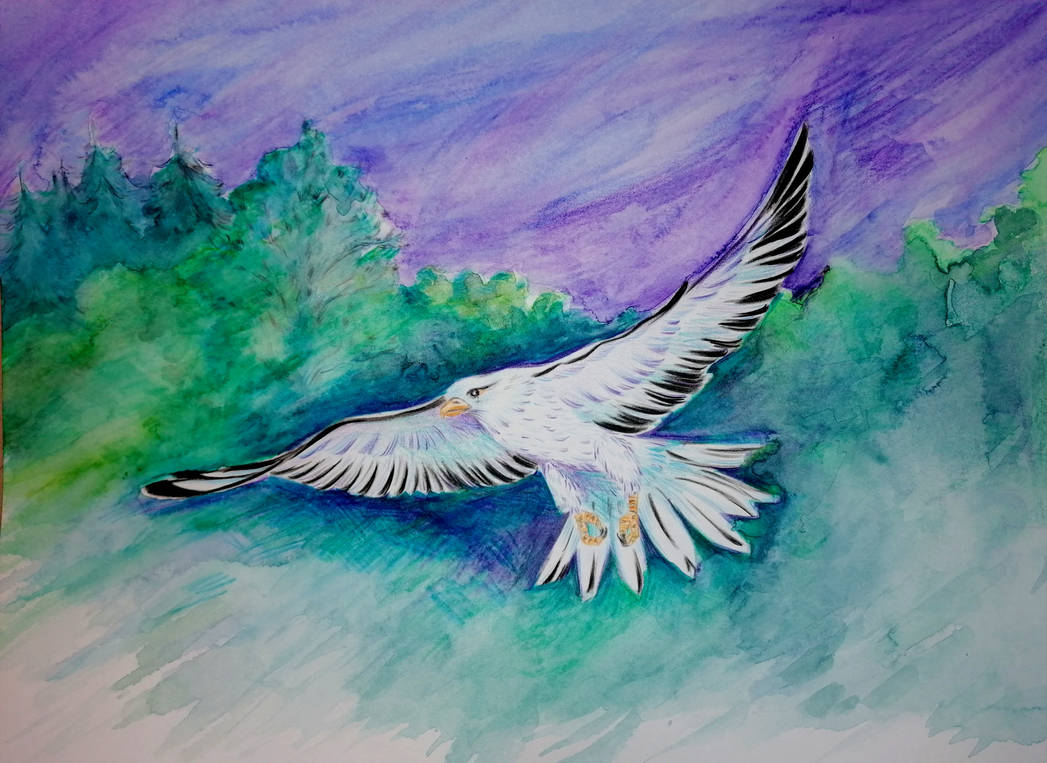 White Falcon by AlexandraSimurgh on DeviantArt