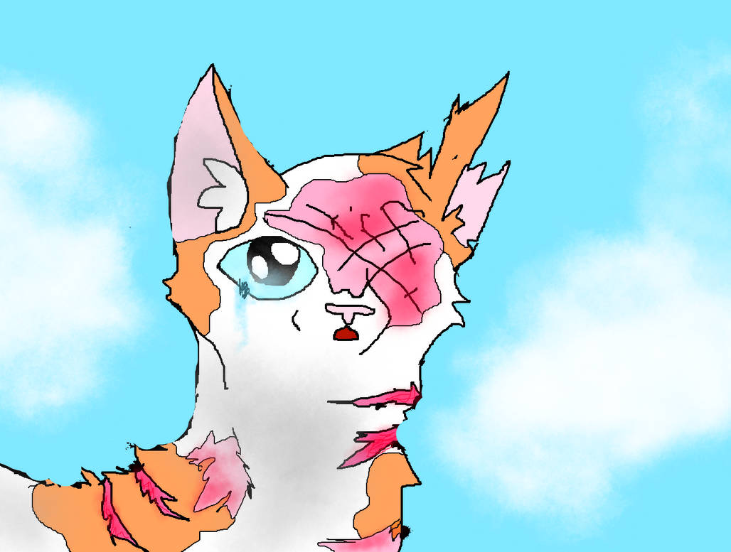 Brightheart by TheBrightestTwilight on DeviantArt