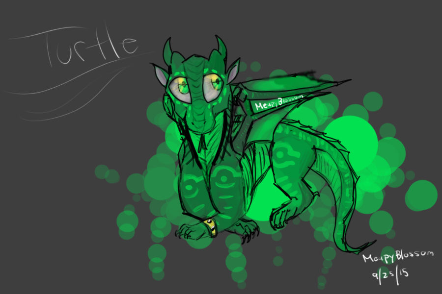 Prince Turtle 8-25-2015 by pelaghi on DeviantArt