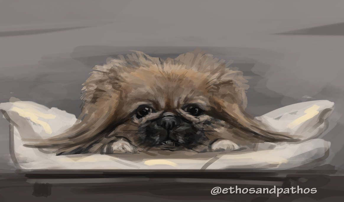 Boniface by AncientSilentMonk on DeviantArt