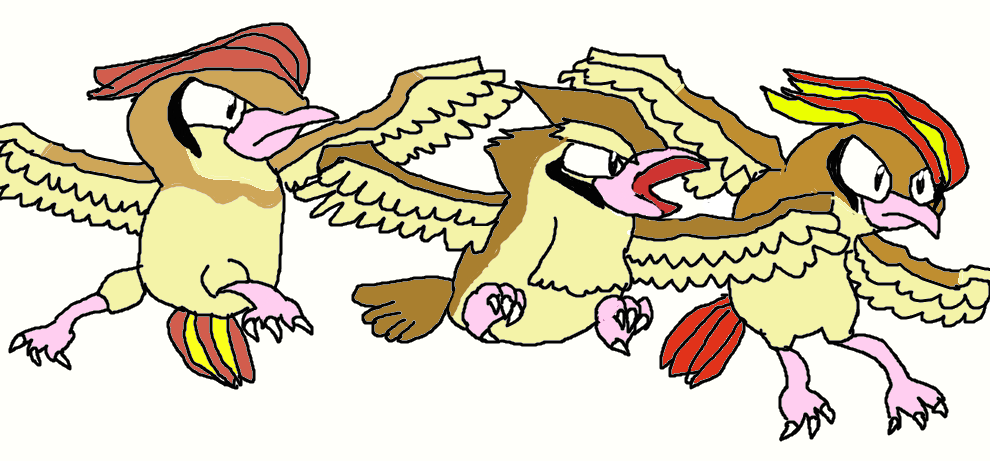 Pidgey, Pidgeotto and Pidgeot by Jeremenchi on DeviantArt