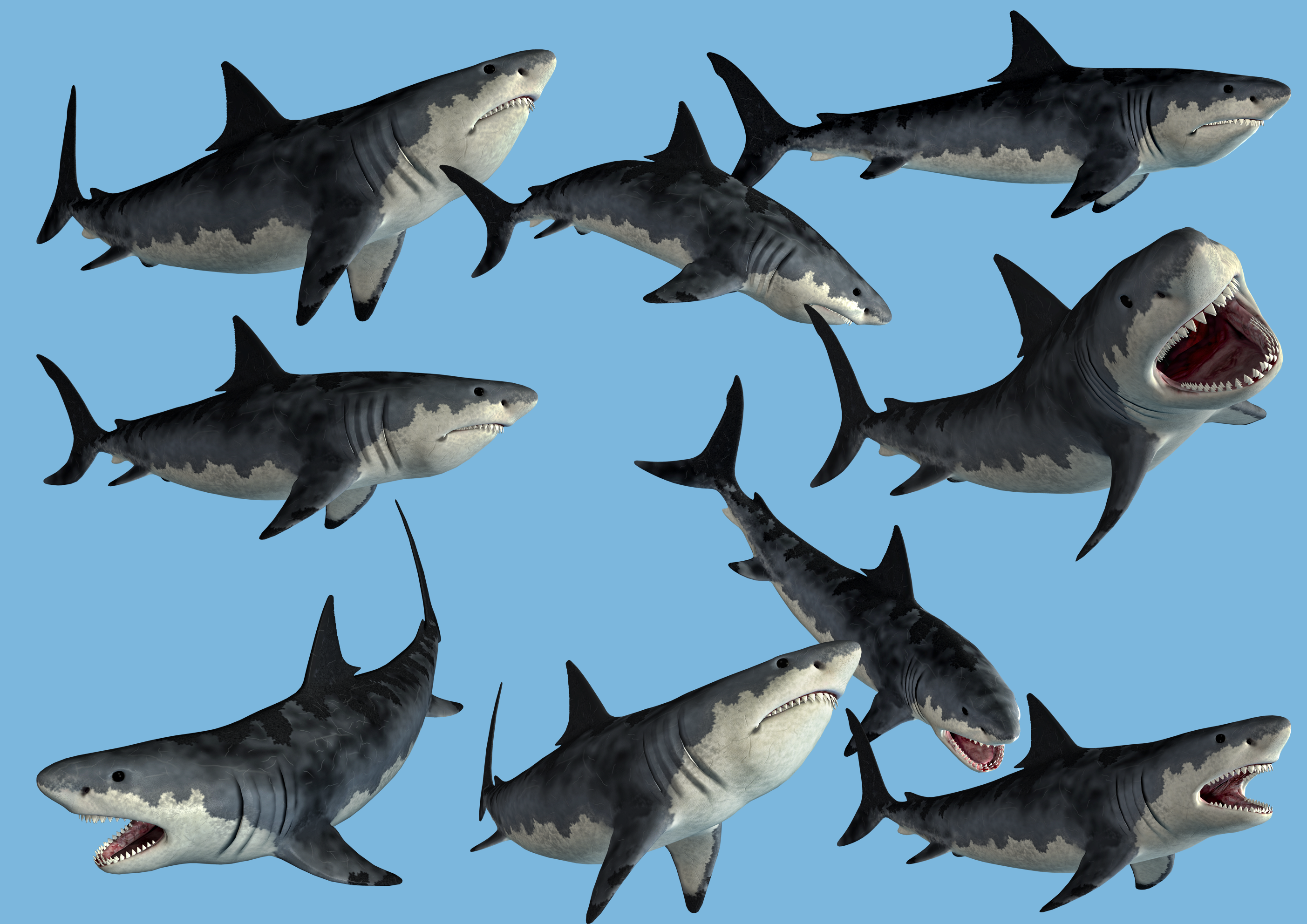 9 Monster Shark Stock PNG's by Roy3D on DeviantArt