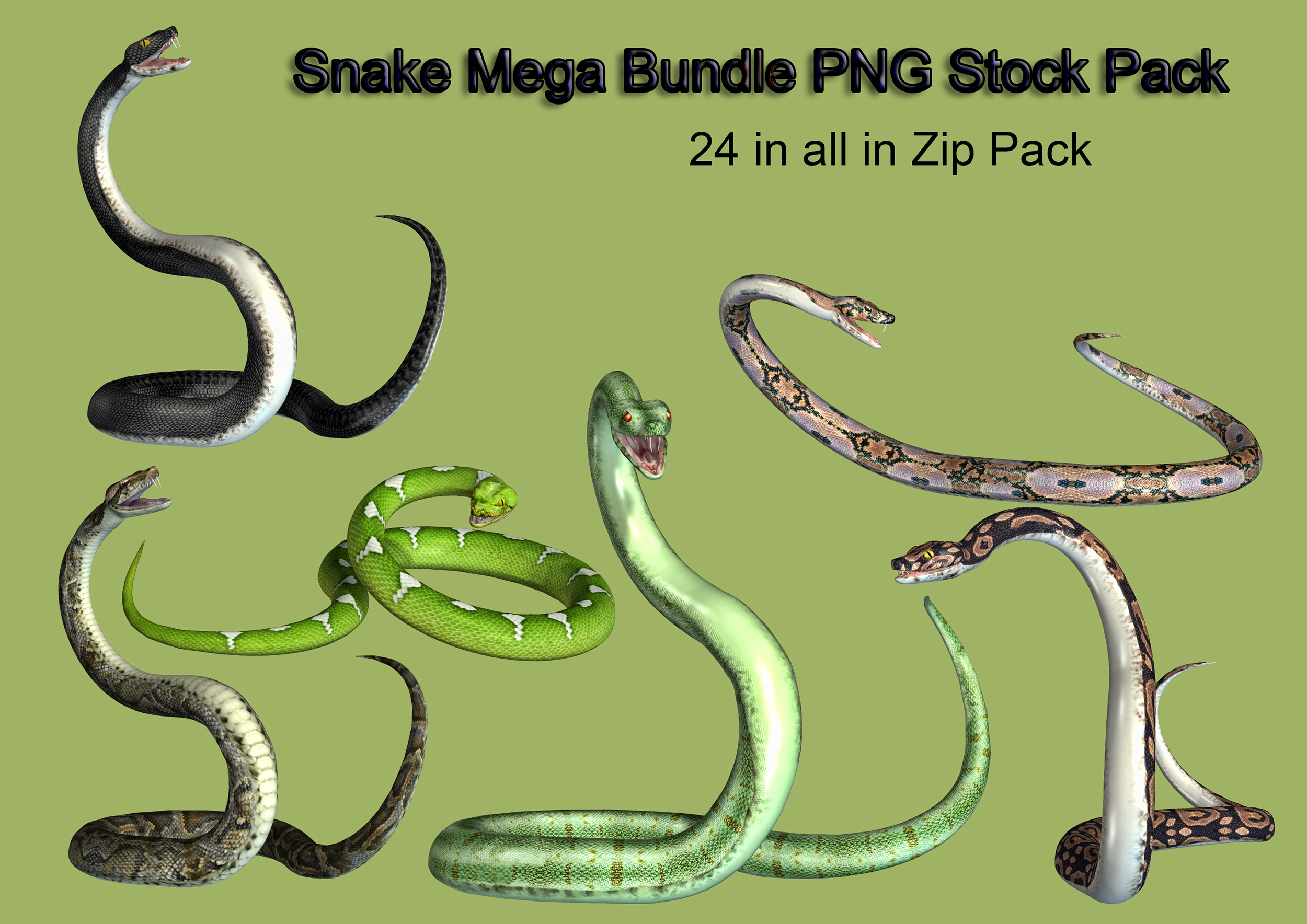 Snake Mega Stock Pack by Roy3D on DeviantArt