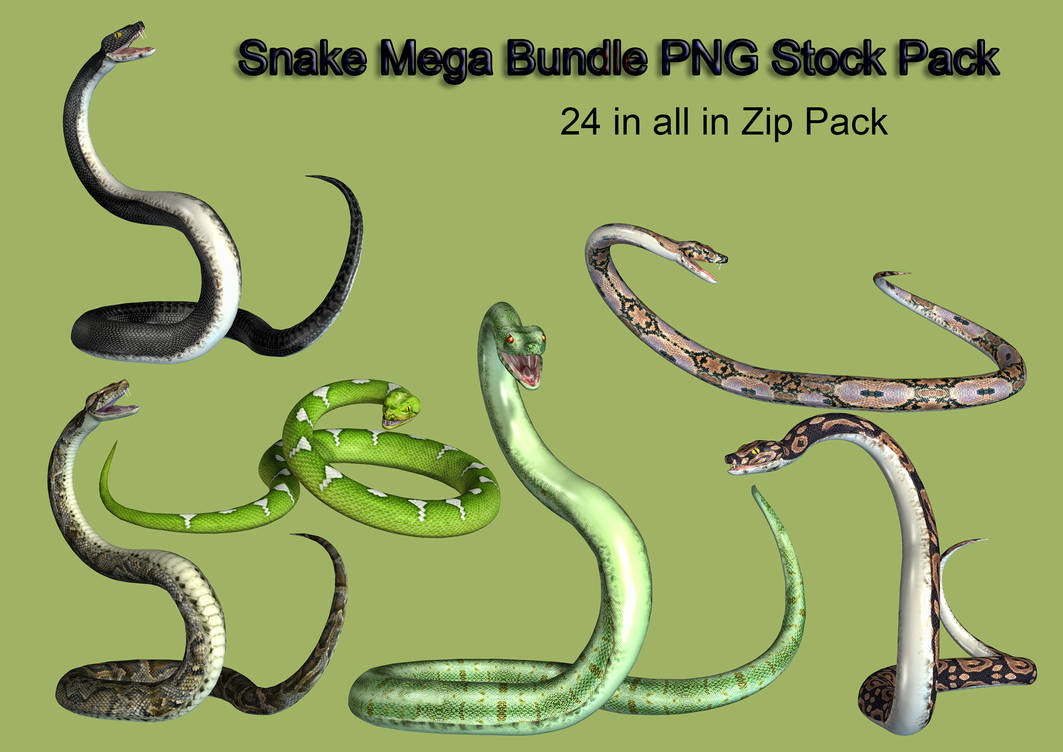 Snake Mega Stock Pack by Roy3D on DeviantArt