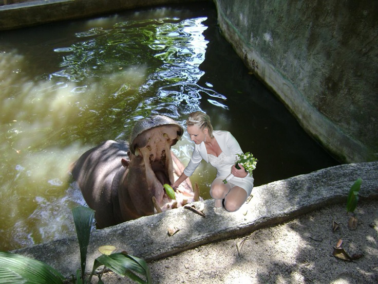 New zoo opening, princess feeds the hippo by hosevore40 on DeviantArt