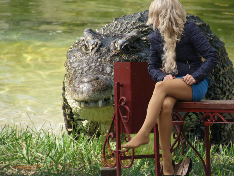 Sneaky Croc by hosevore40 on DeviantArt