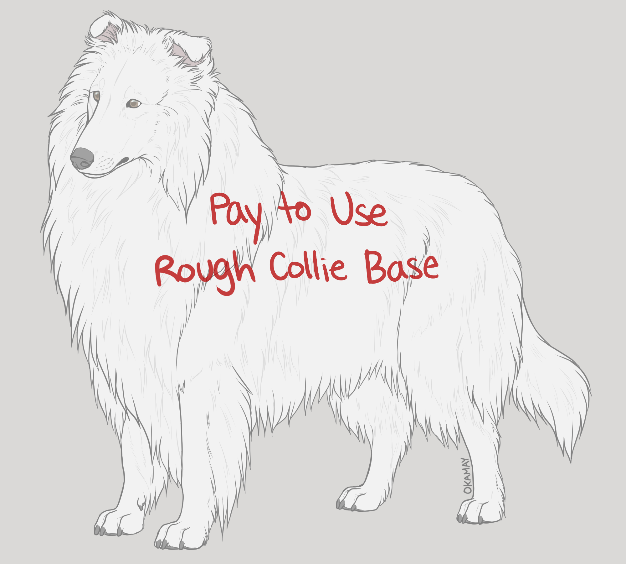 Rough Collie Base by Okamay on DeviantArt