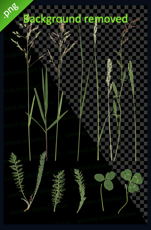 Background Removed Plants Transparent PNG by paintevil on DeviantArt