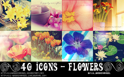 Icons - Flowers Set 1 by lilbrokenangel on DeviantArt