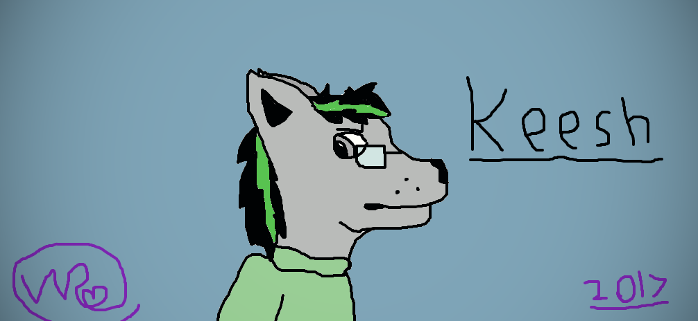 Keesh the Wolf by LimpSeatBelt on DeviantArt