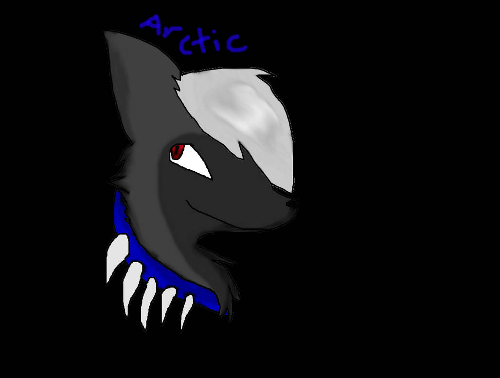 arctic by ElectricFurtato on DeviantArt