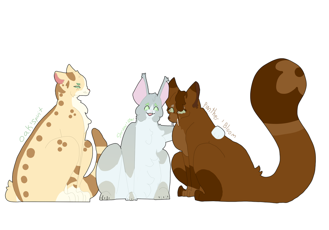 Winter Clans Top 3 by backgroundsketch on DeviantArt