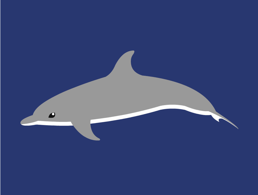 Dolphin Swim Cycle by Reisol on DeviantArt